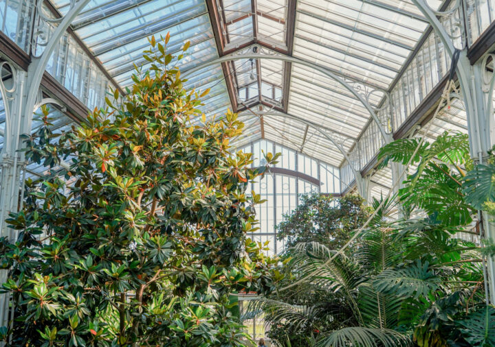 7 stunning parks in Helsinki you should visit